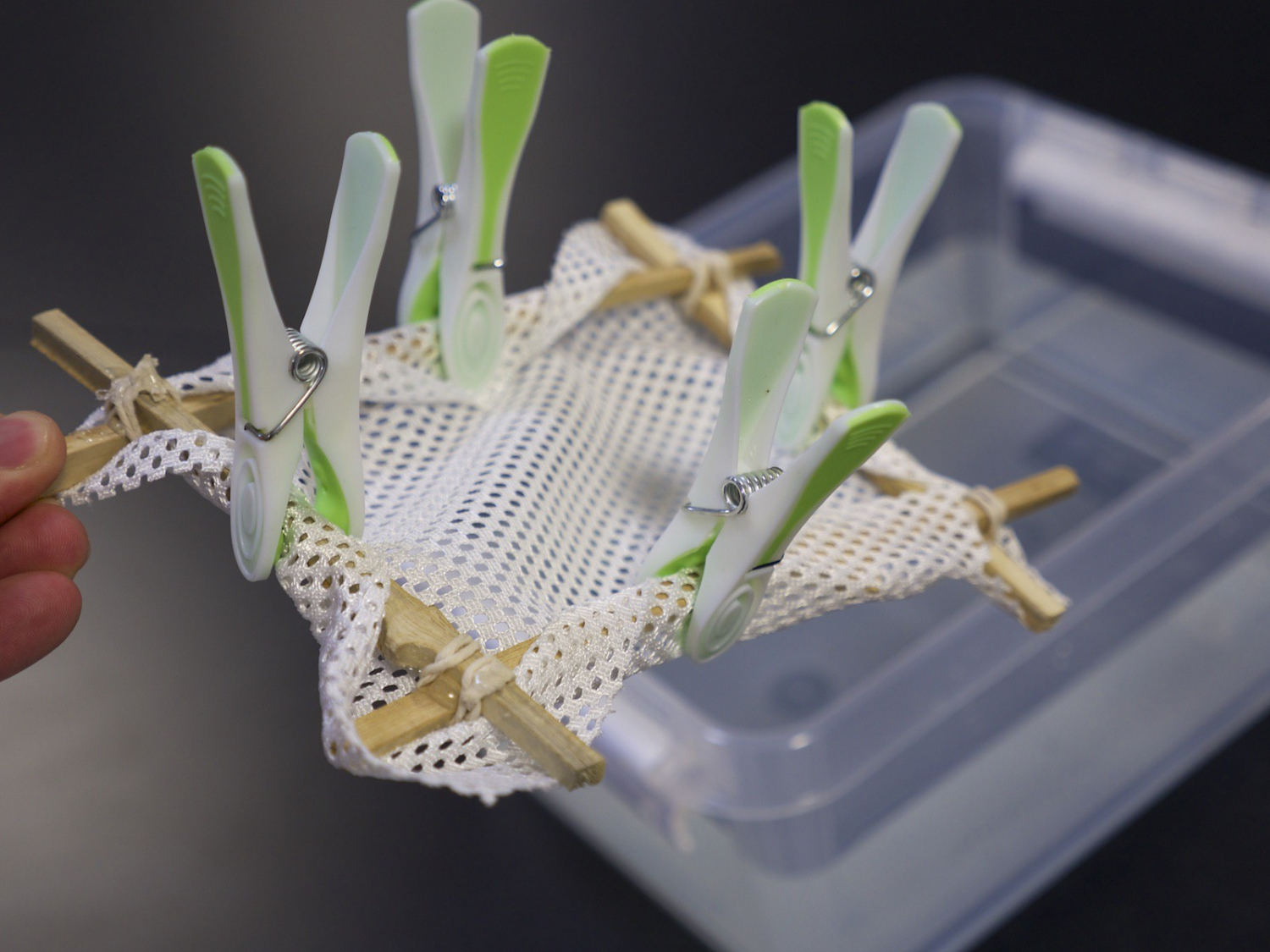 Giraffe on a Raft 4 - NUSTEM