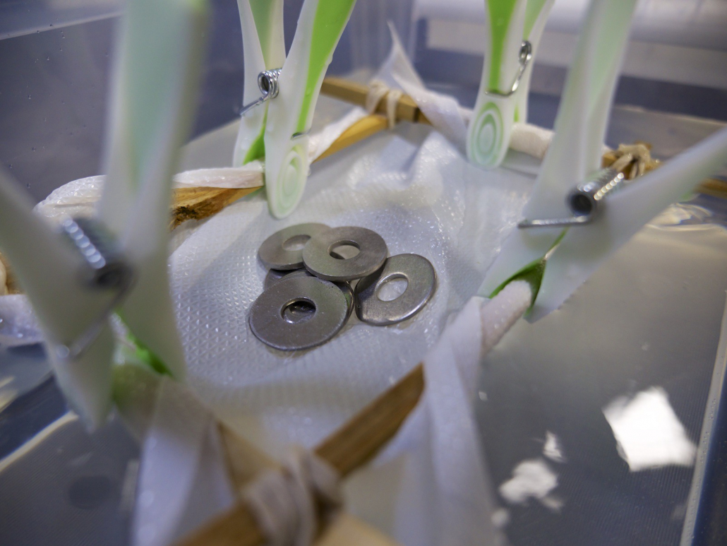 Giraffe on a Raft 6 - NUSTEM