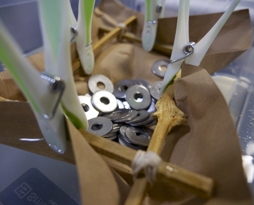 Giraffe on a Raft - NUSTEM