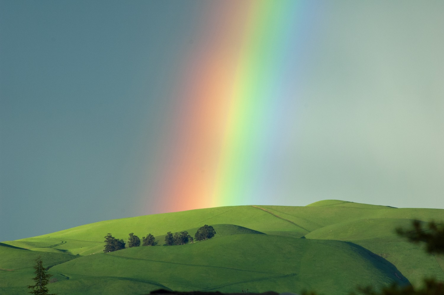 Weather forecast role play provocation - NUSTEM
