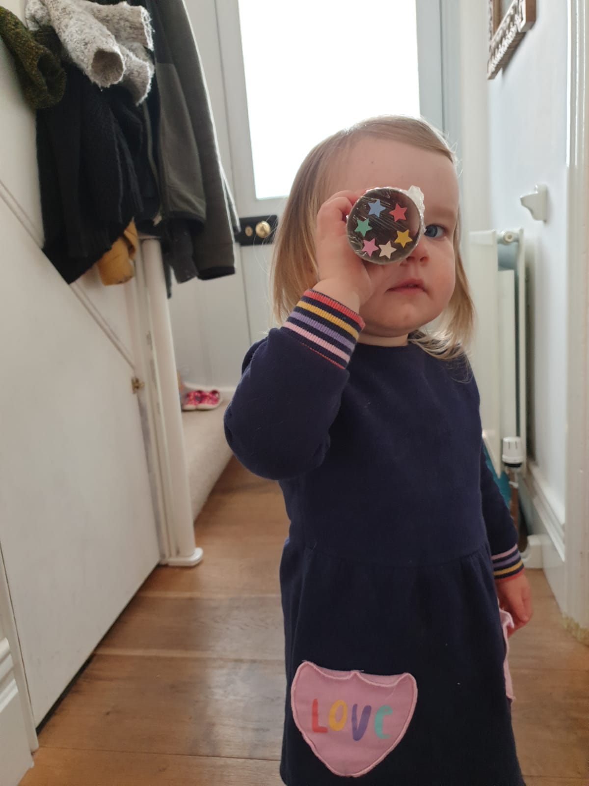 Ember looking through tube - NUSTEM