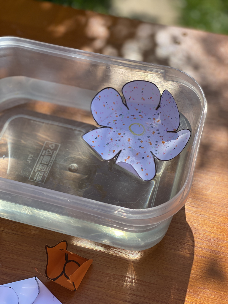 Floating Flowers - NUSTEM