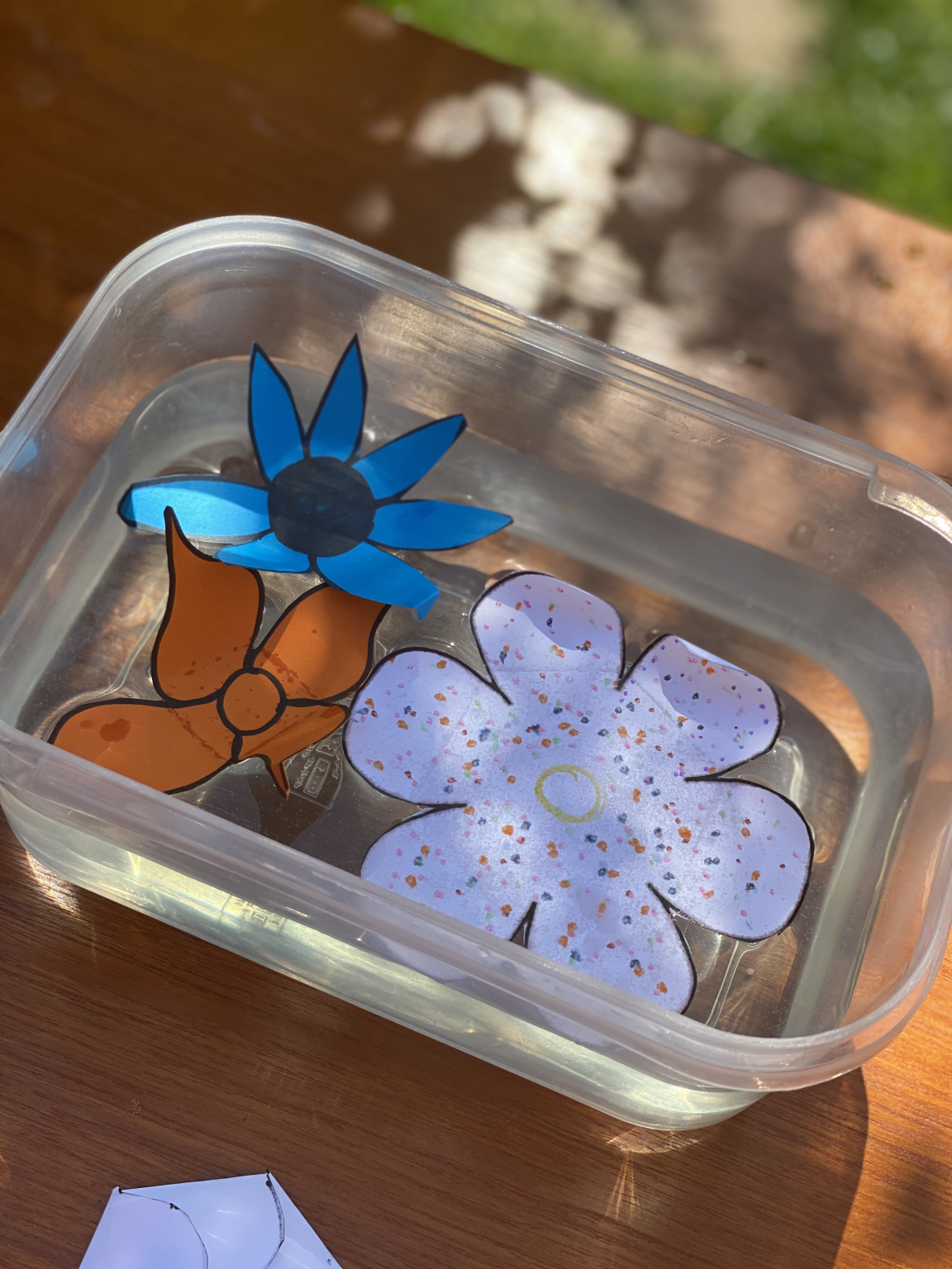 Floating Flowers - NUSTEM