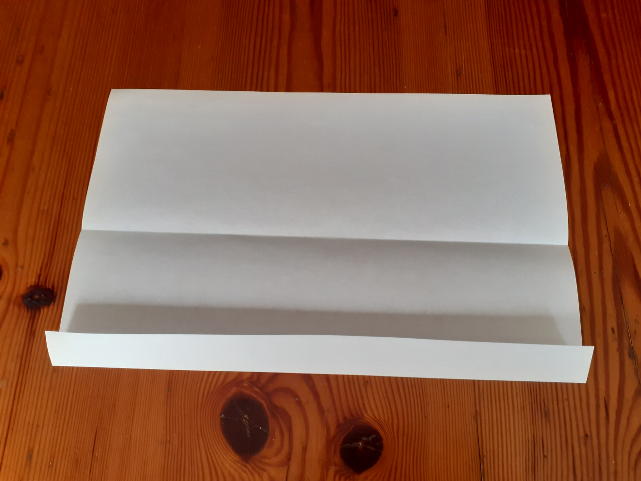 Building Bridges - NUSTEM