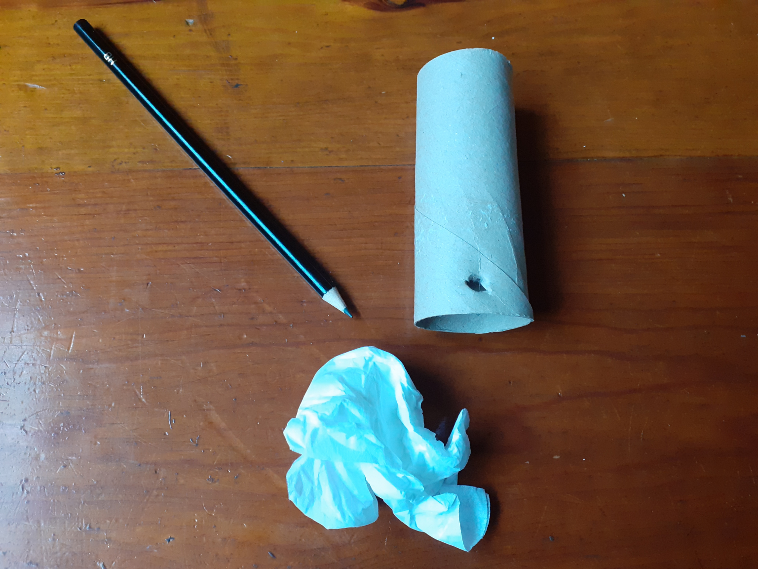 Make a tonoscope - NUSTEM