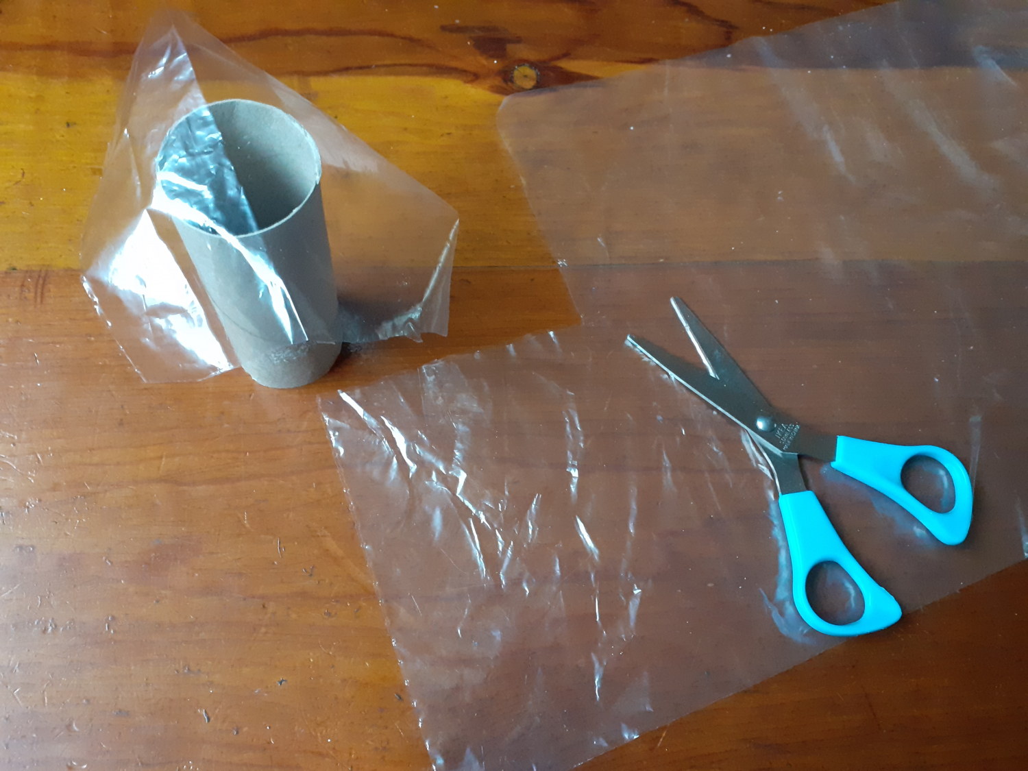 Make a tonoscope - NUSTEM