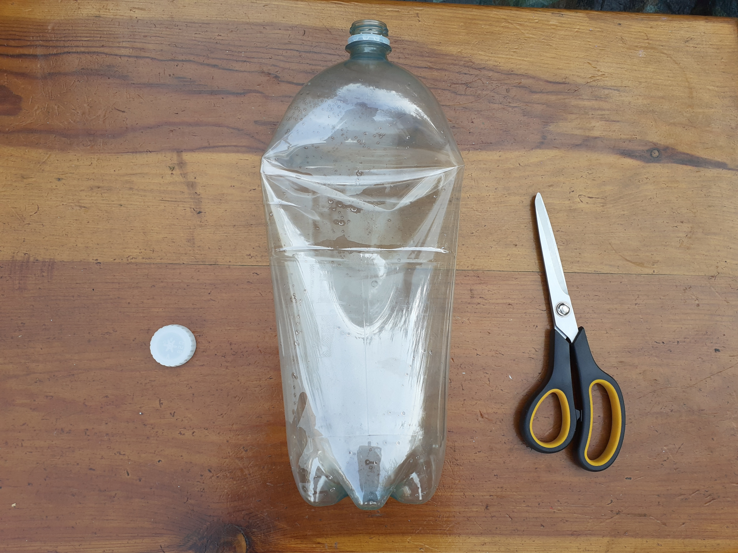 Make a wormery - NUSTEM