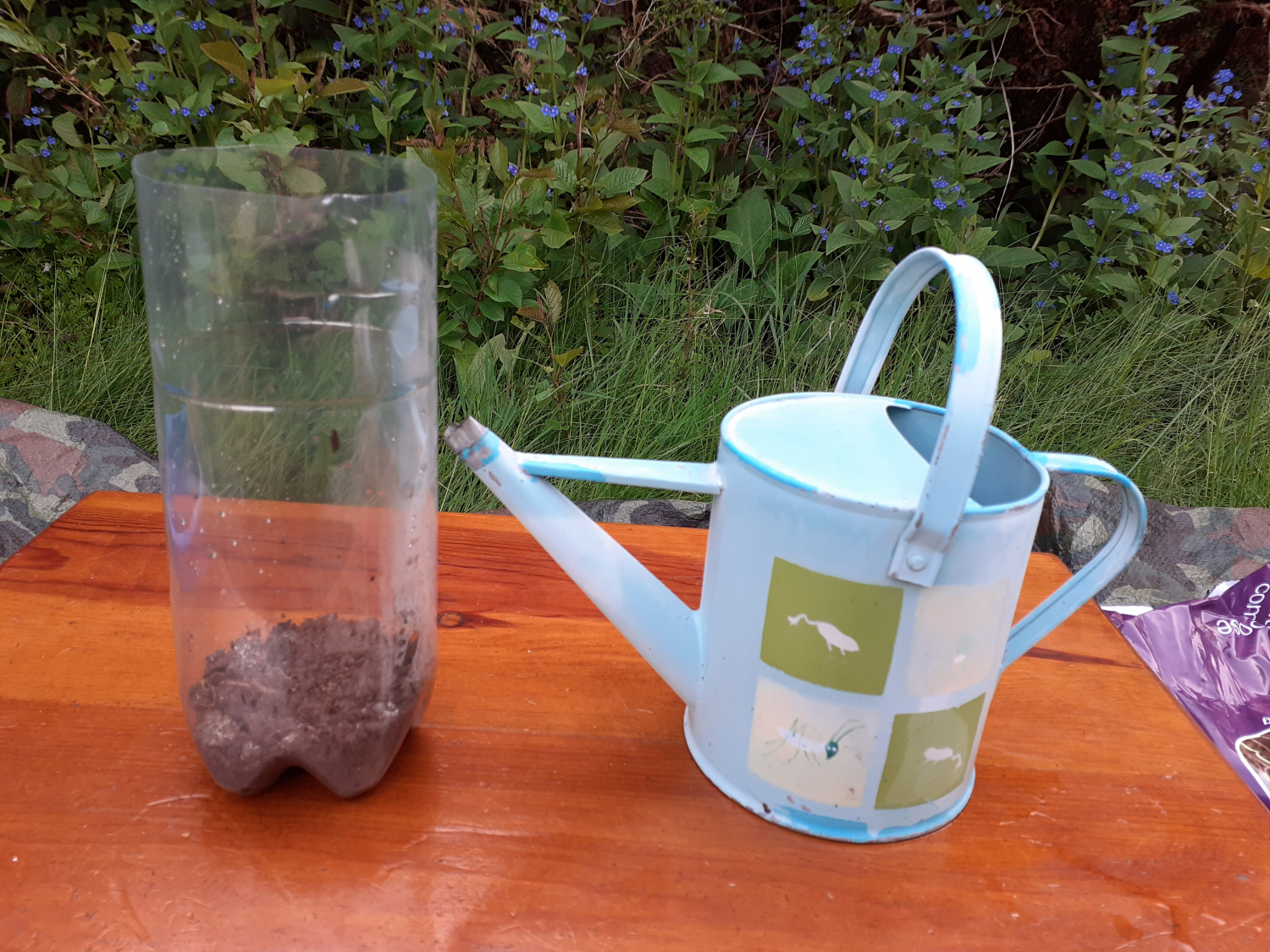 Make a wormery - NUSTEM