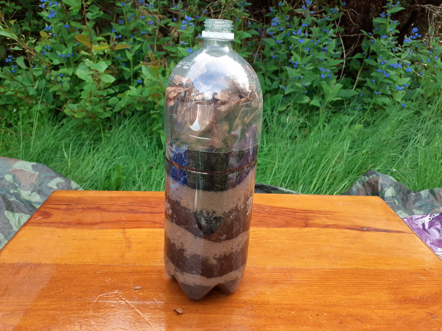 Make a wormery - NUSTEM
