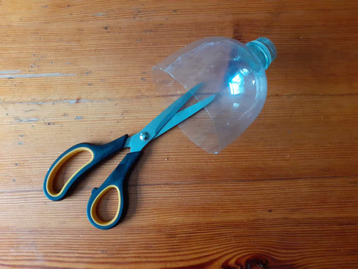 Make a wormery - NUSTEM