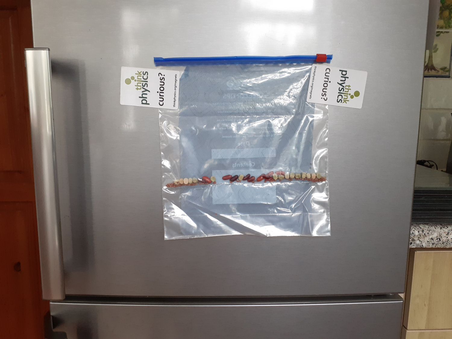 Growing seeds - NUSTEM