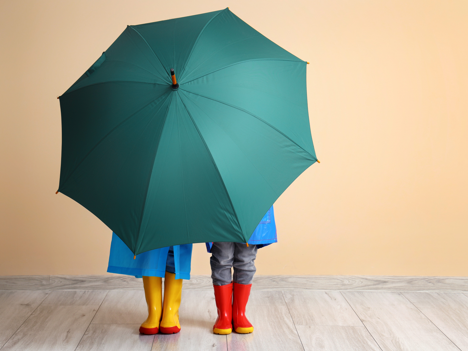 Weather forecast role play provocation - NUSTEM