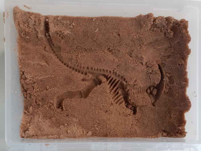 fossil impression - NUSTEM