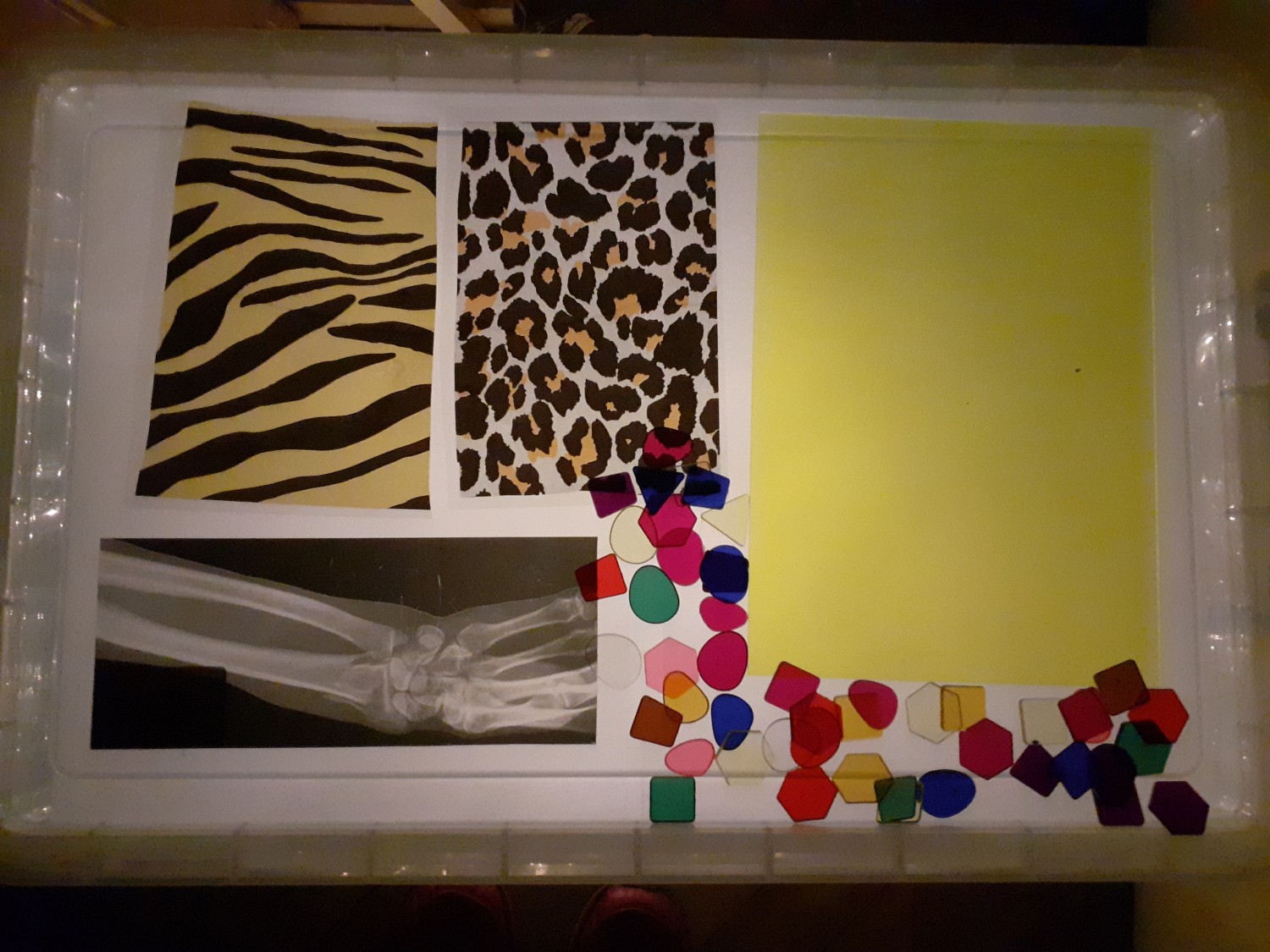 Light box provocation - NUSTEM