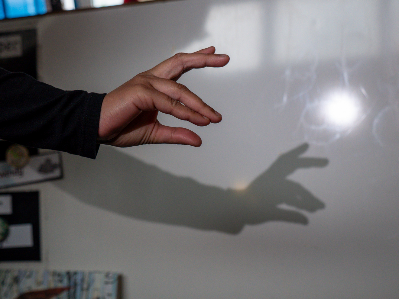Shadow puppets provocation - NUSTEM