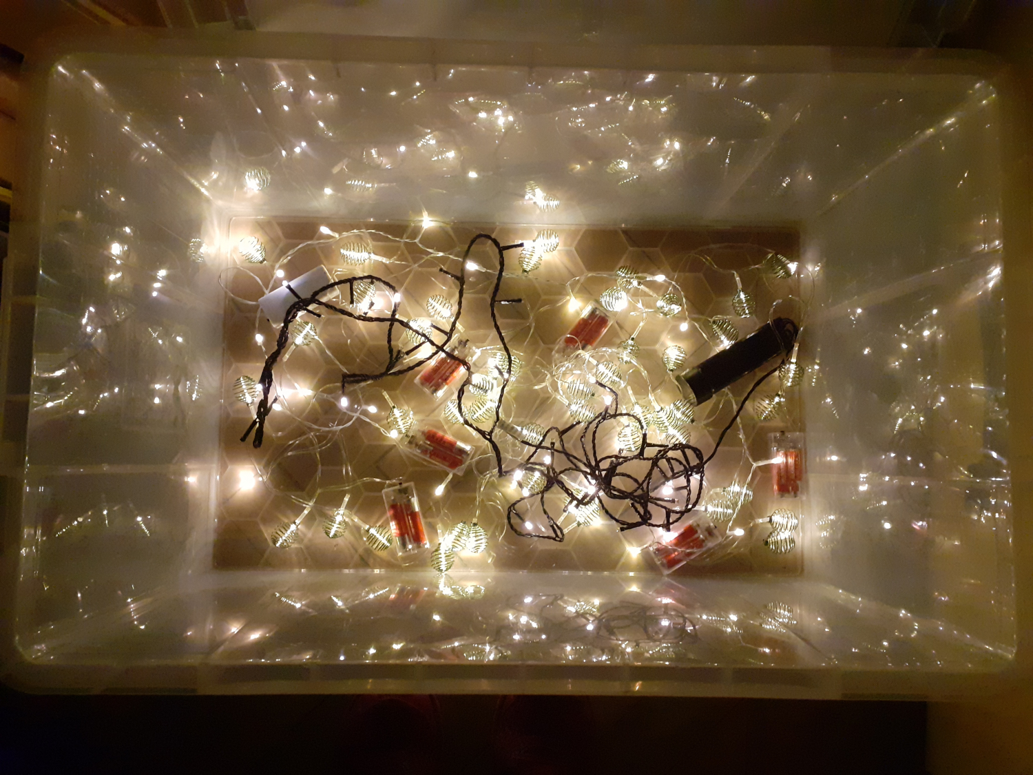 Light box provocation - NUSTEM