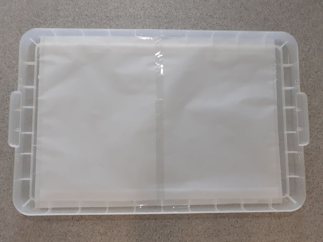 Light box provocation - NUSTEM