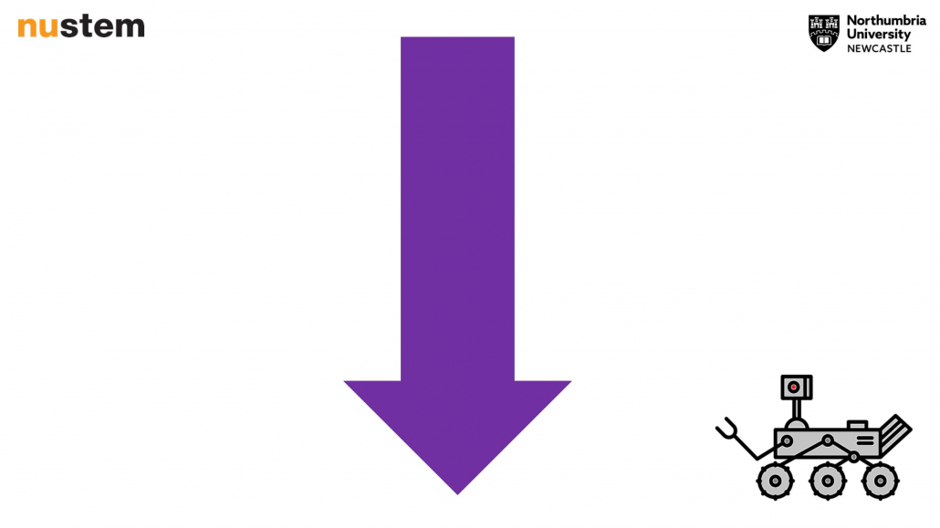 Programmable robots adult led activity - NUSTEM