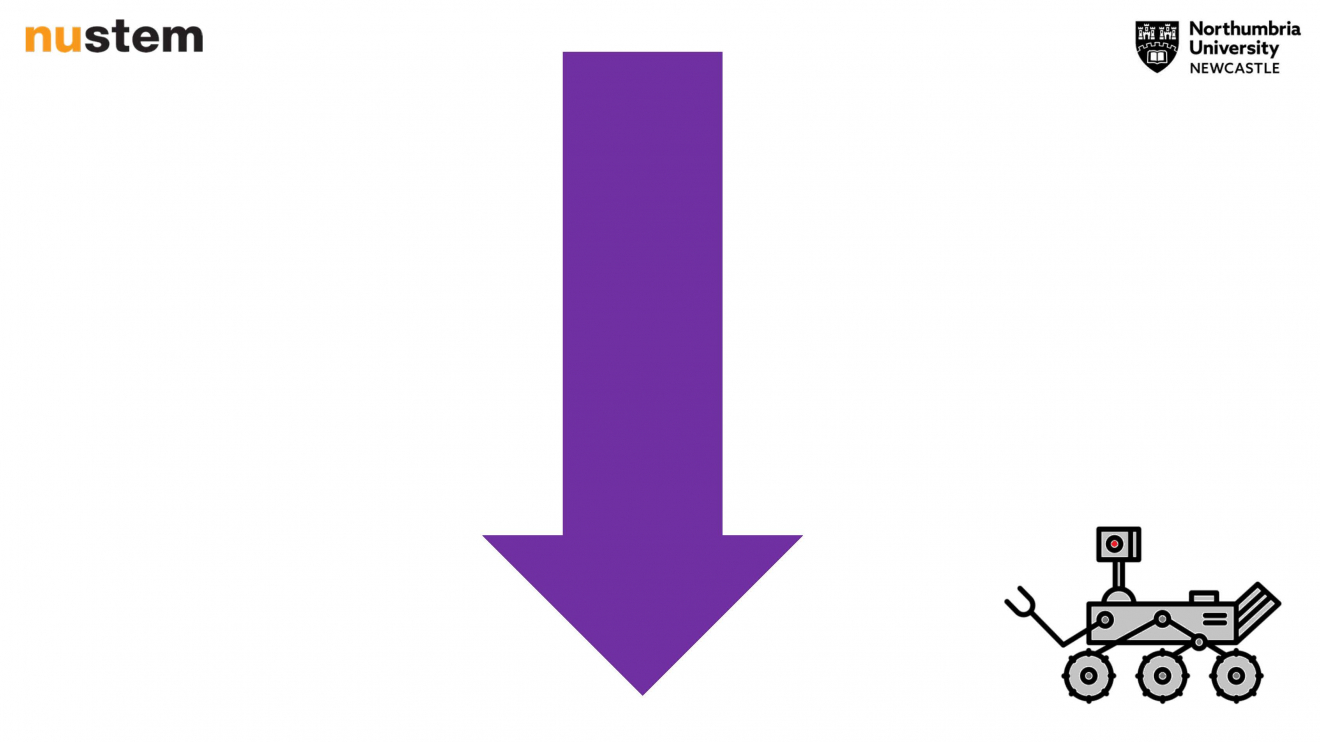 Programmable robots adult led activity - NUSTEM