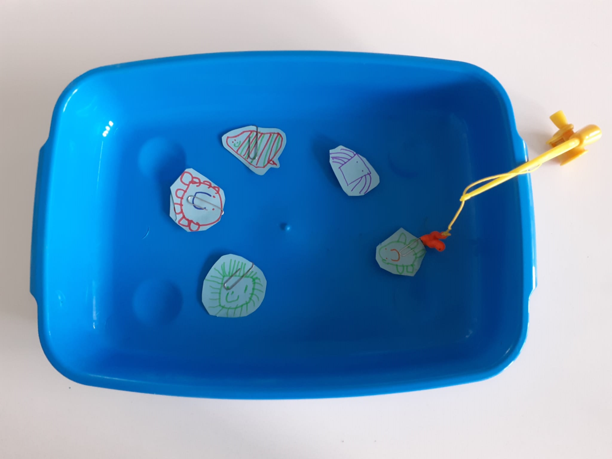 Magnetic fishing adult led activity - NUSTEM