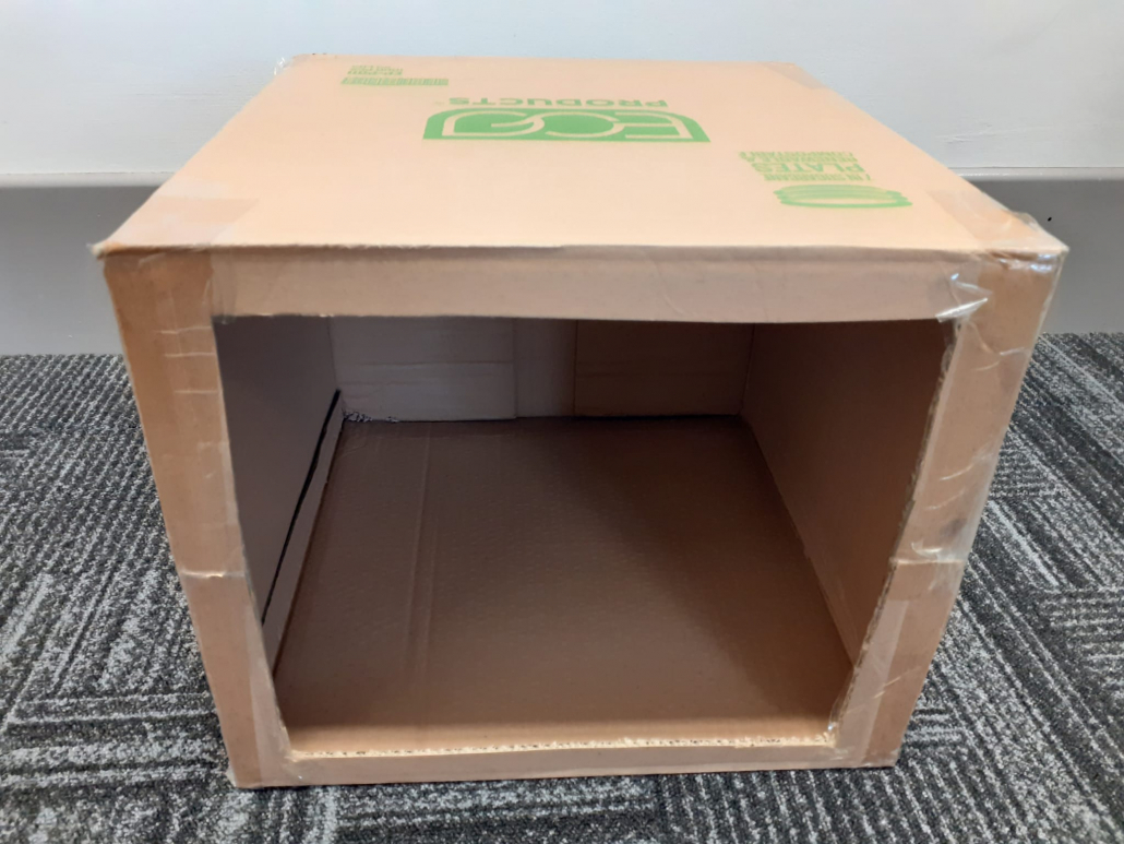 Magnet track provocation - NUSTEM