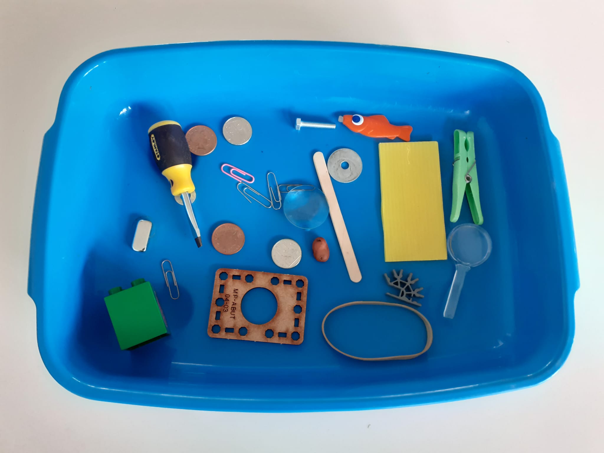 Magnetic or non-magnetic provocation - NUSTEM