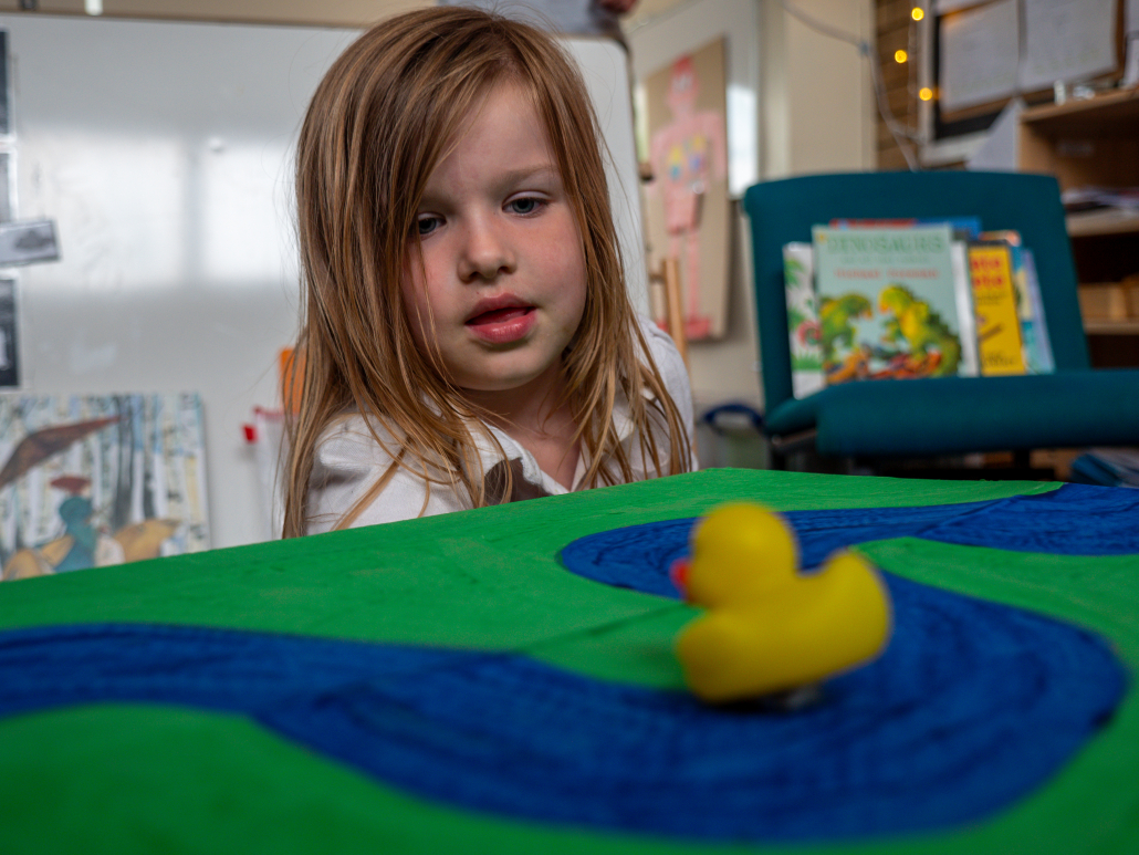 Magnet track provocation - NUSTEM