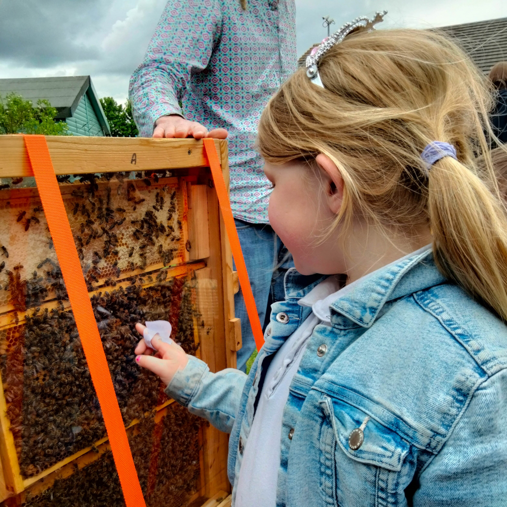 Creativity Clubs - NUSTEM