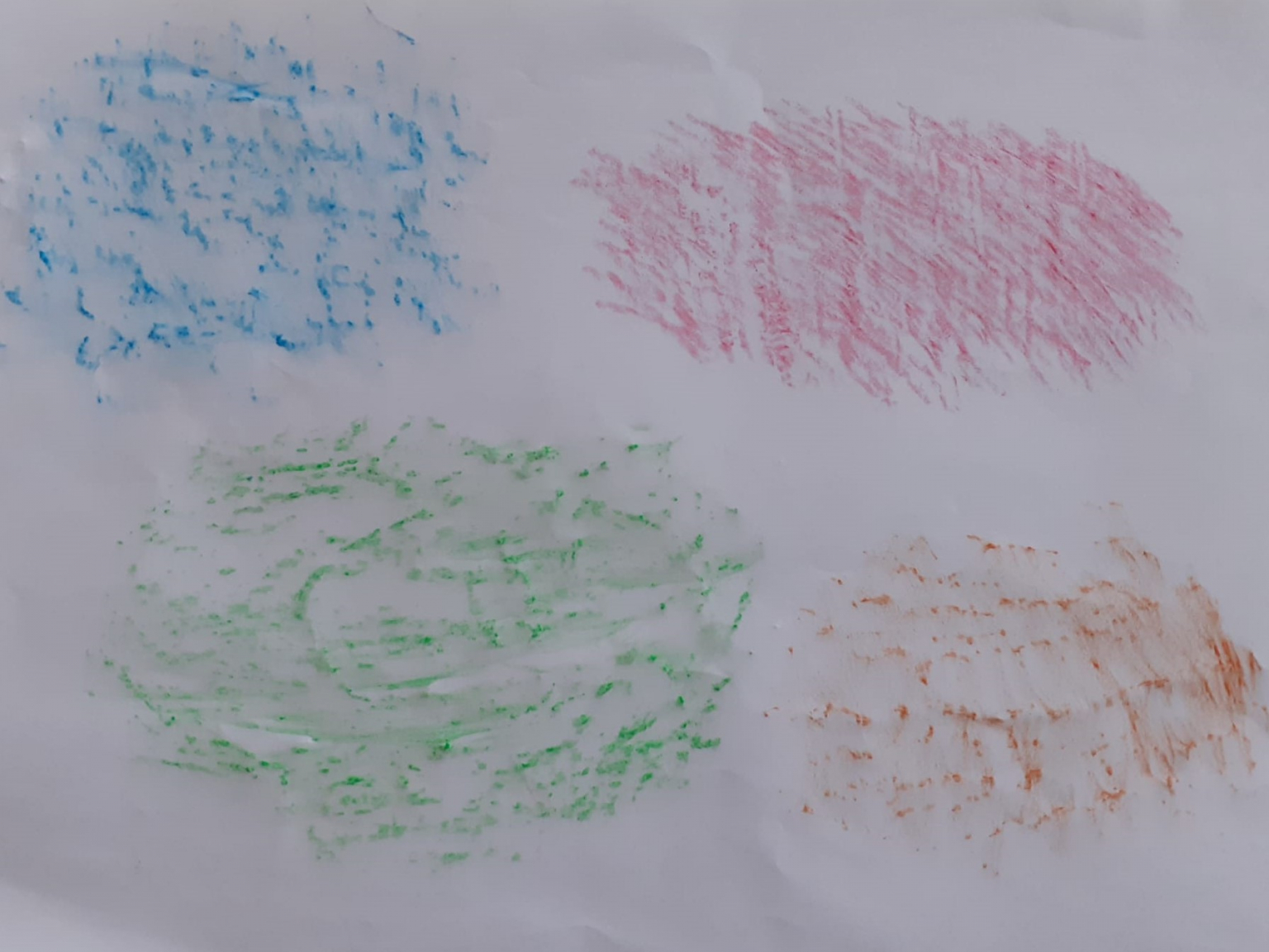 Bark rubbing provocation - NUSTEM