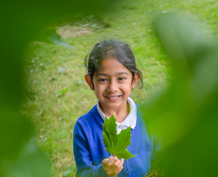 Play, Be, C: STEM in Early Years - NUSTEM