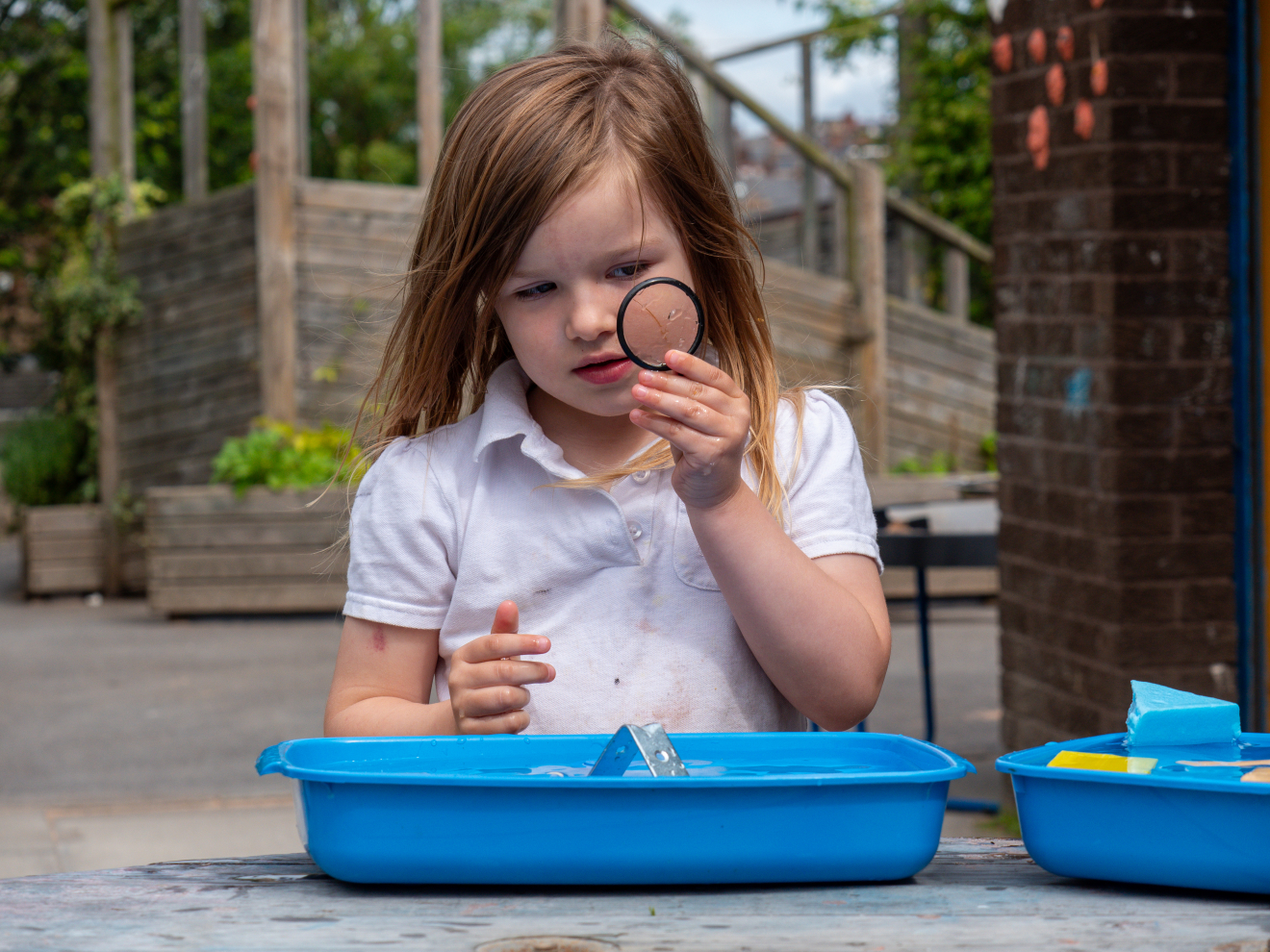 Investigating floating and sinking adult led activity - NUSTEM