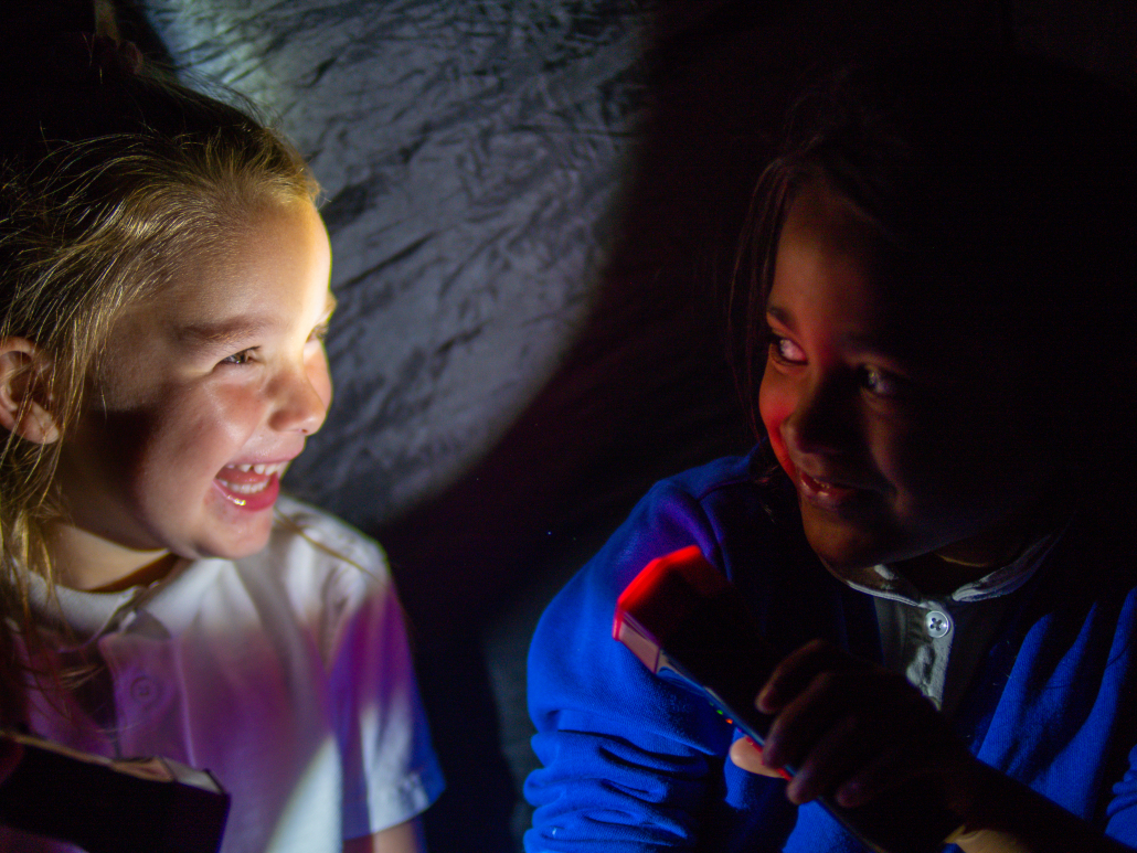 Play, Be, C: STEM in Early Years - NUSTEM