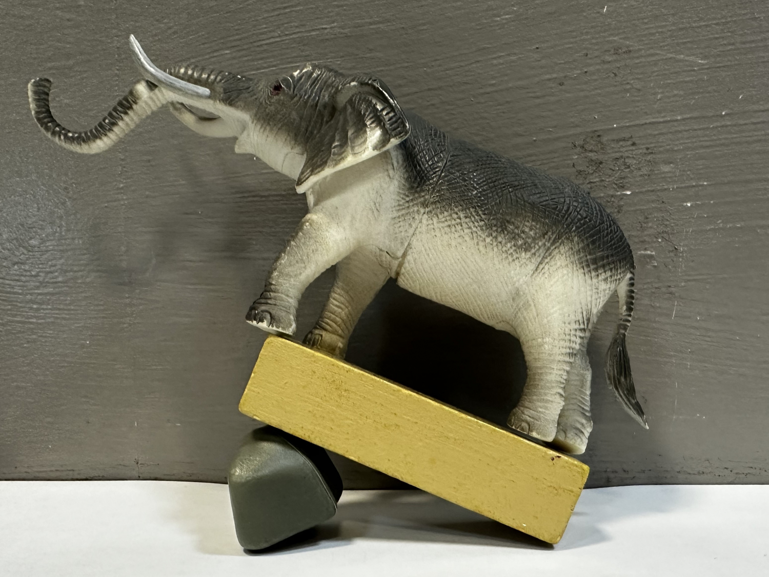 Balancing and fastening adult led activity - NUSTEM